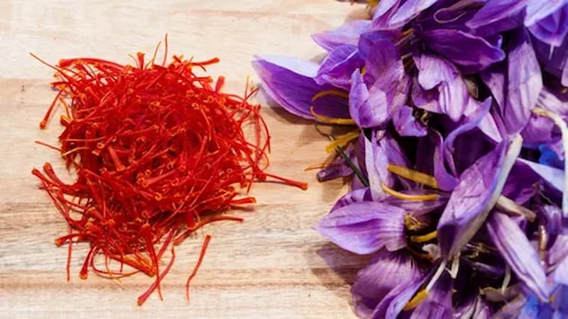 The best cities in Iran for planting saffron - Khan Leyli